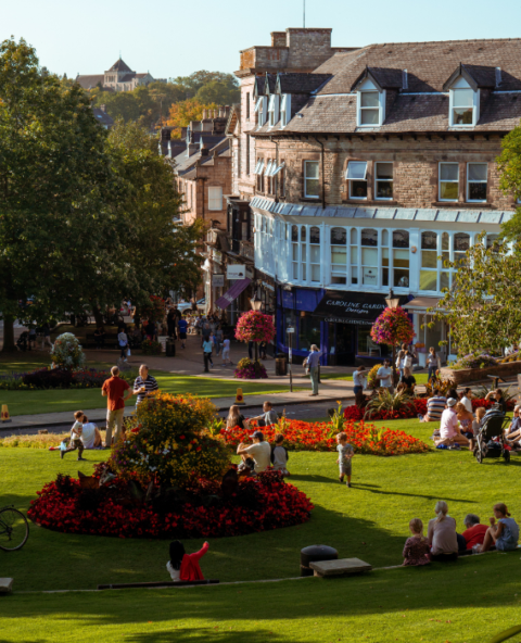 About MiHD - Harrogate Mind